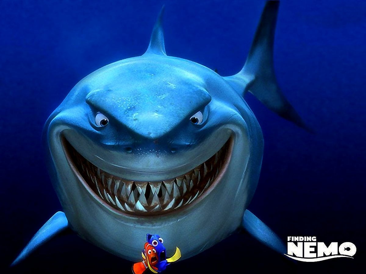 Fondo Buscando A Nemo, Pez, Tiburón | Imagen Gratis