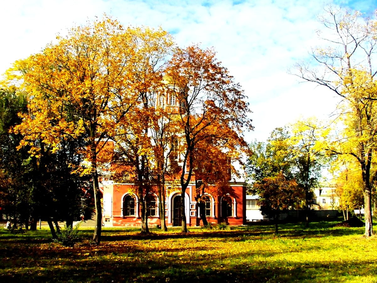 120+ Park background images | Download Free wallpapers