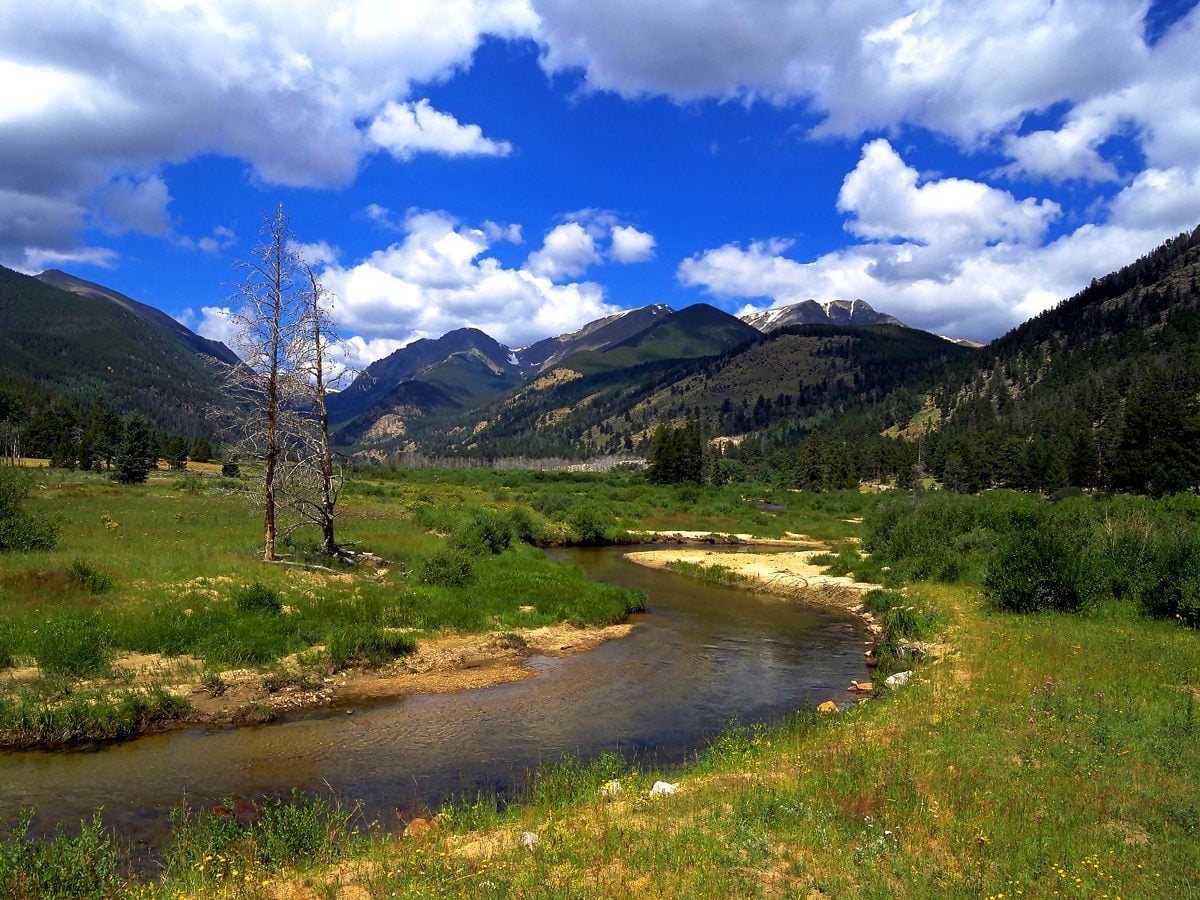 380+ Highland wallpapers HD | Download Free backgrounds