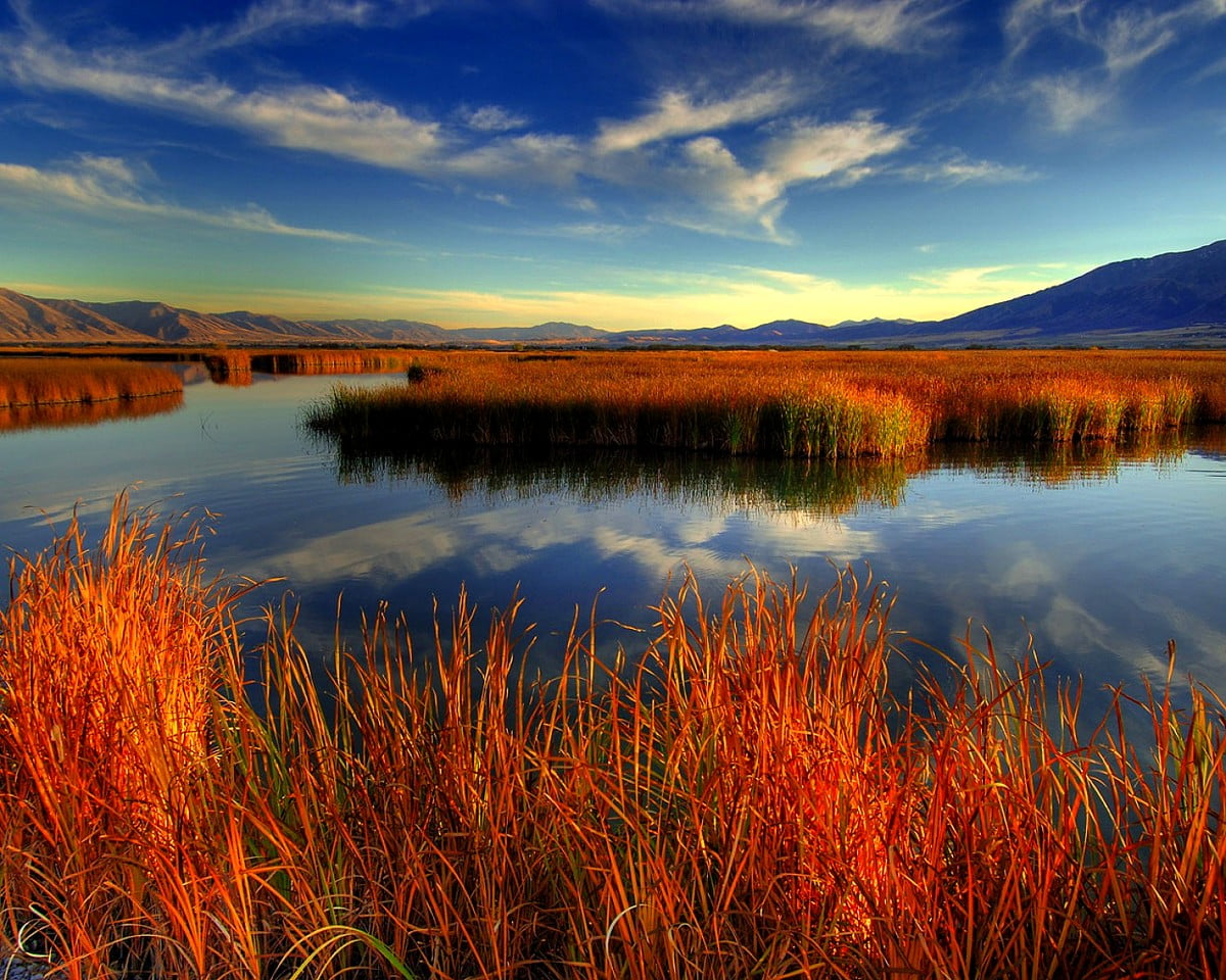 710+ Cool River backgrounds HD | Download Free photos