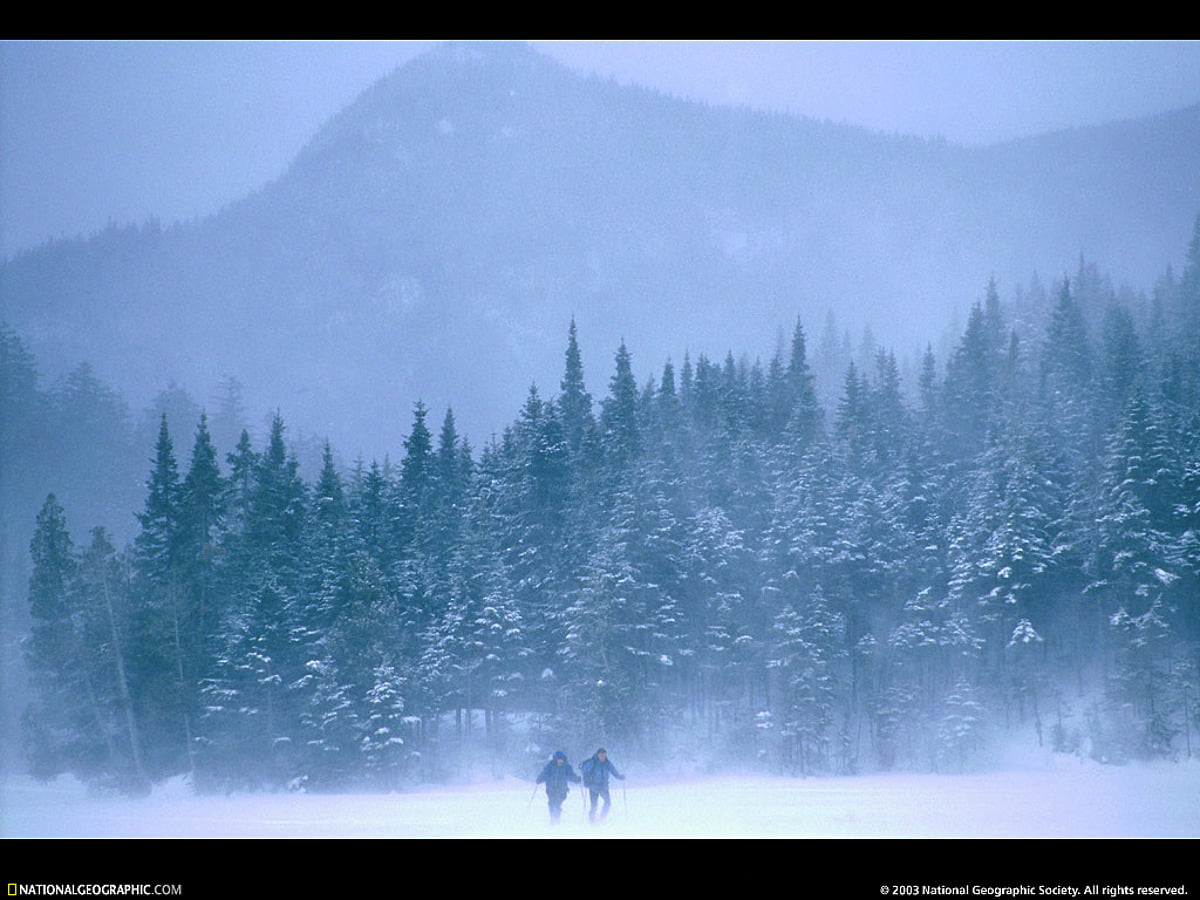 920+ National Geographic backgrounds HD | Download Free wallpapers