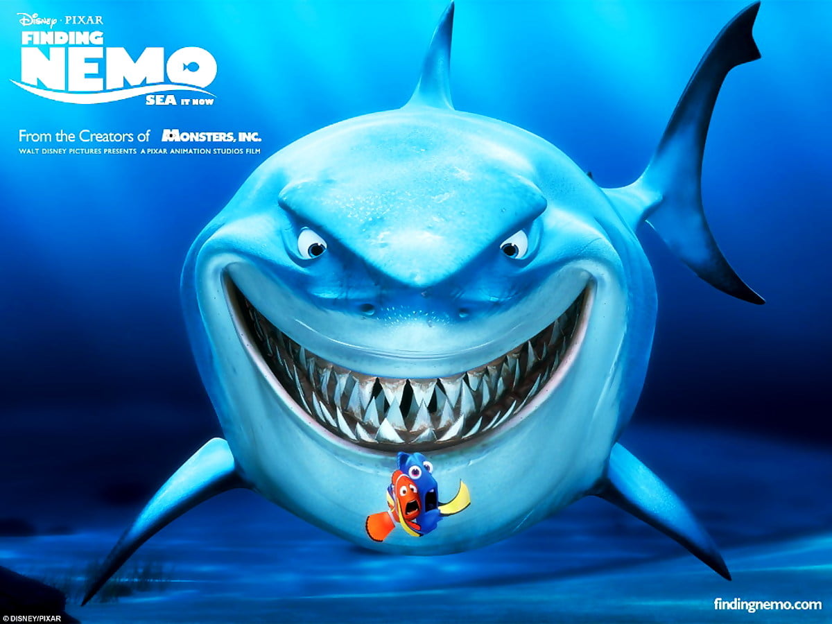 Foto de fondo Buscando A Nemo, Pez, Tiburón | Descargar Imagen Gratis