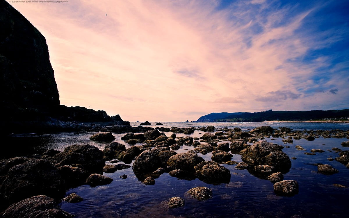Hdr Billeder, Natur, Grønne baggrund | Gratis Download baggrund