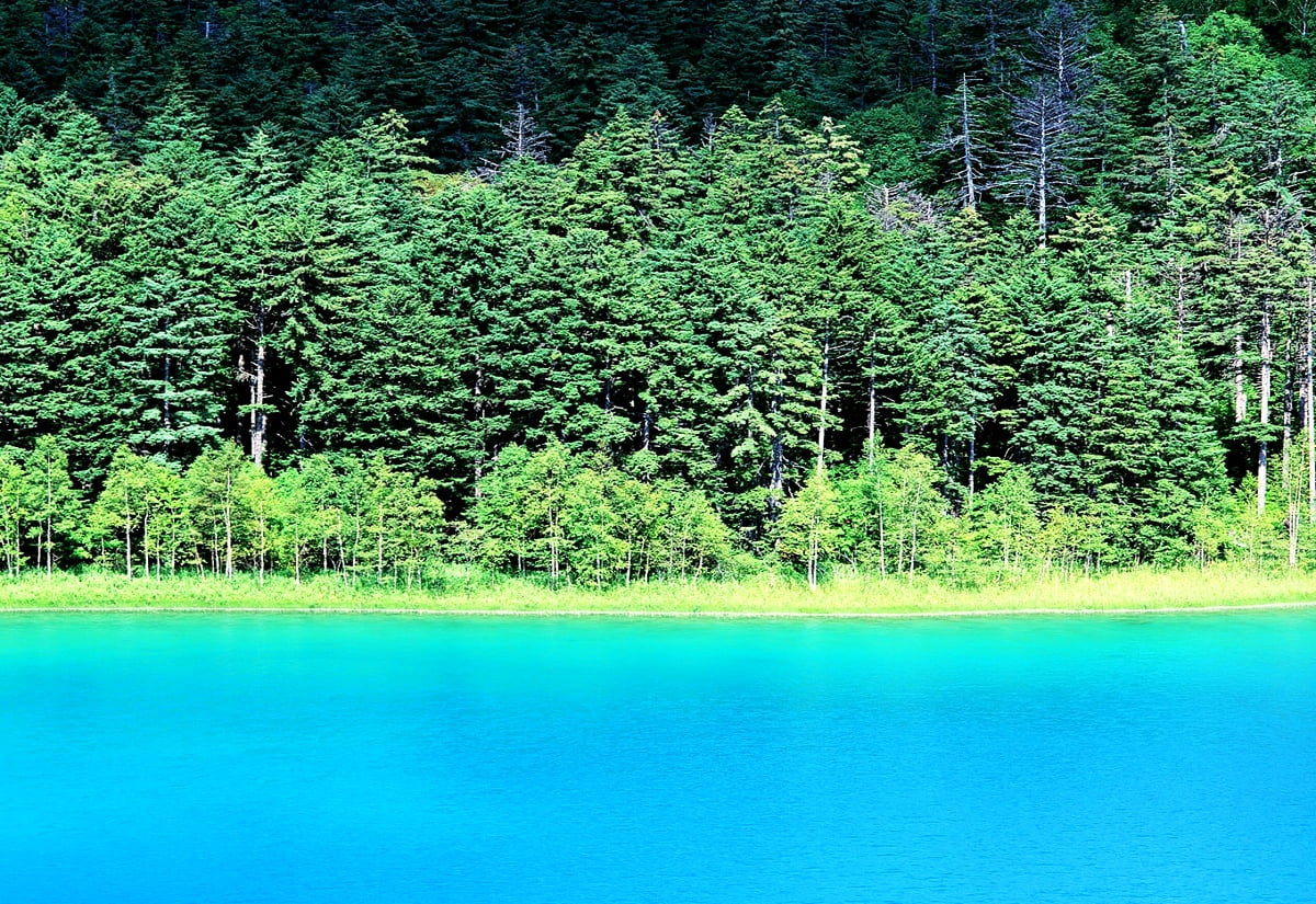 Japan, Nature, Lake wallpaper | Free TOP wallpapers