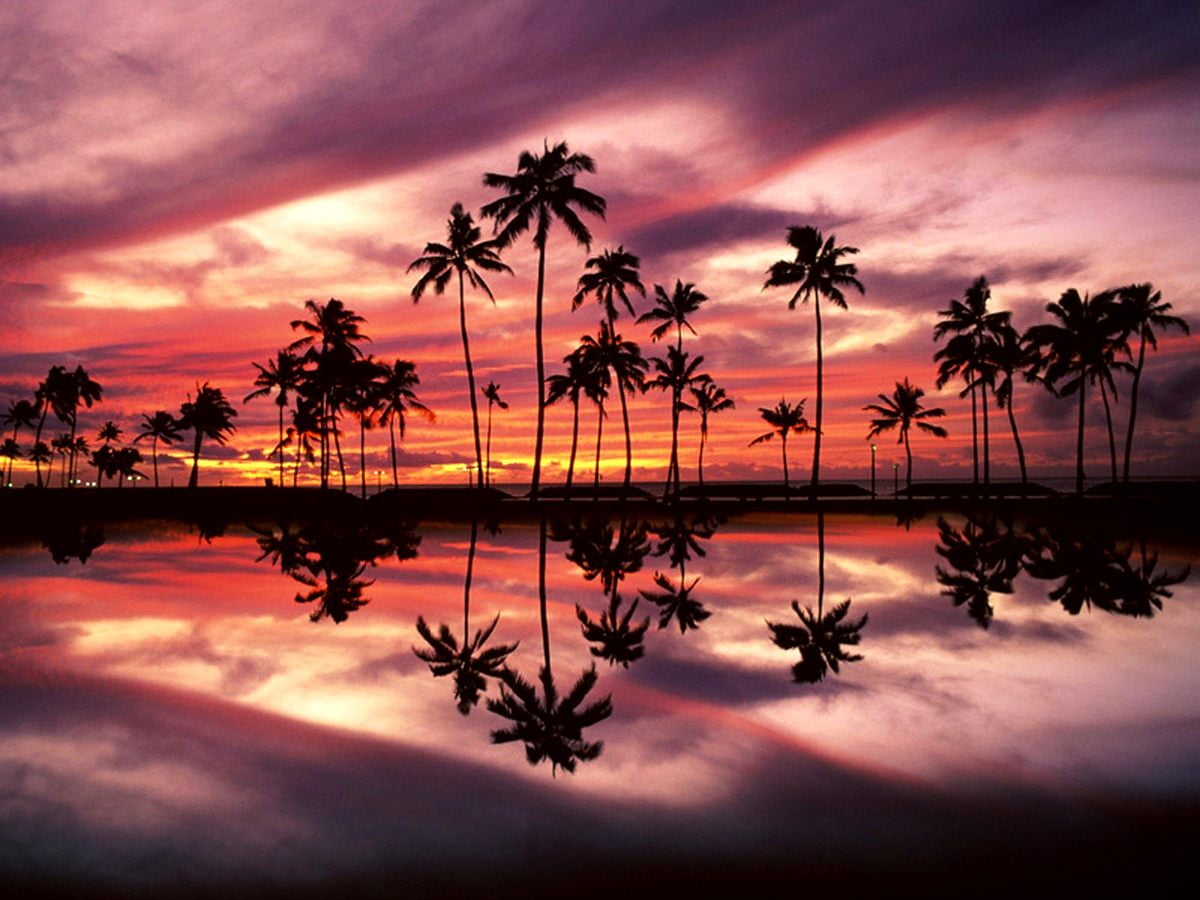 50+ Hawaii bakgrunner HD | Laste ned Bakgrunnsbilder Gratis
