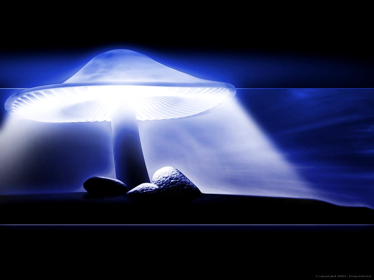 220+ HD 3D graphics wallpapers | Download Free backgrounds