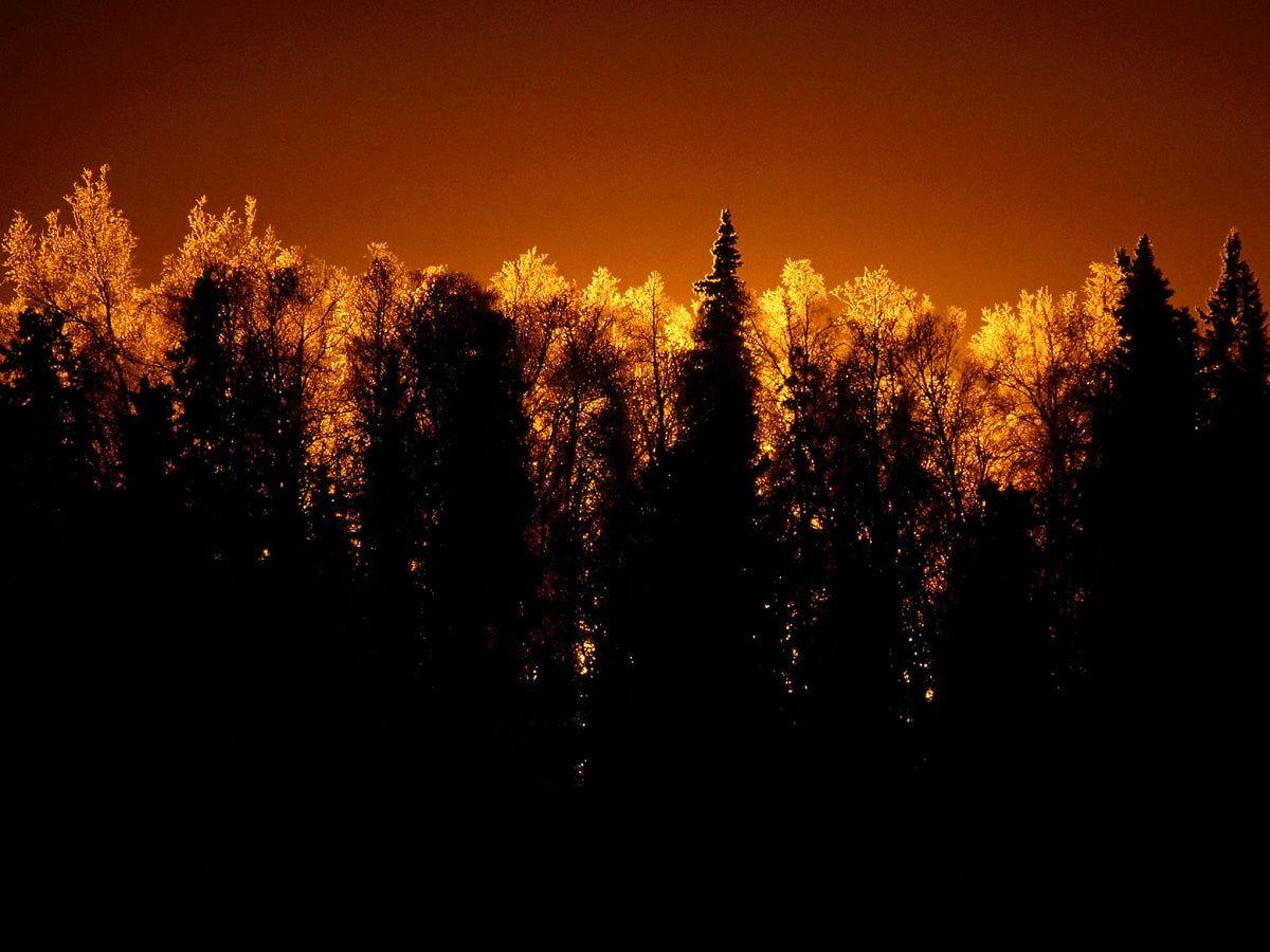 260+ Fondos de pantalla - Tarde HD | Fondos Gratis