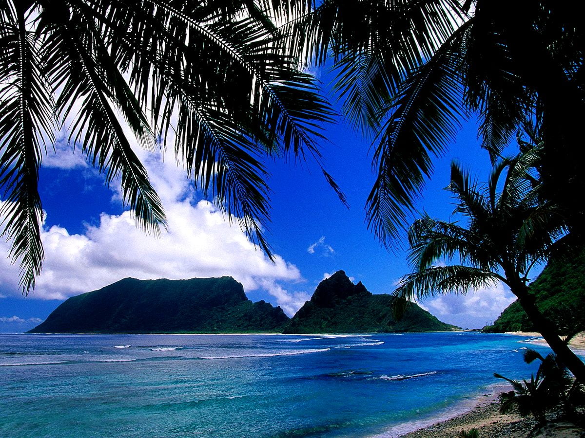 120+ Caribbean background images | Download Free wallpapers