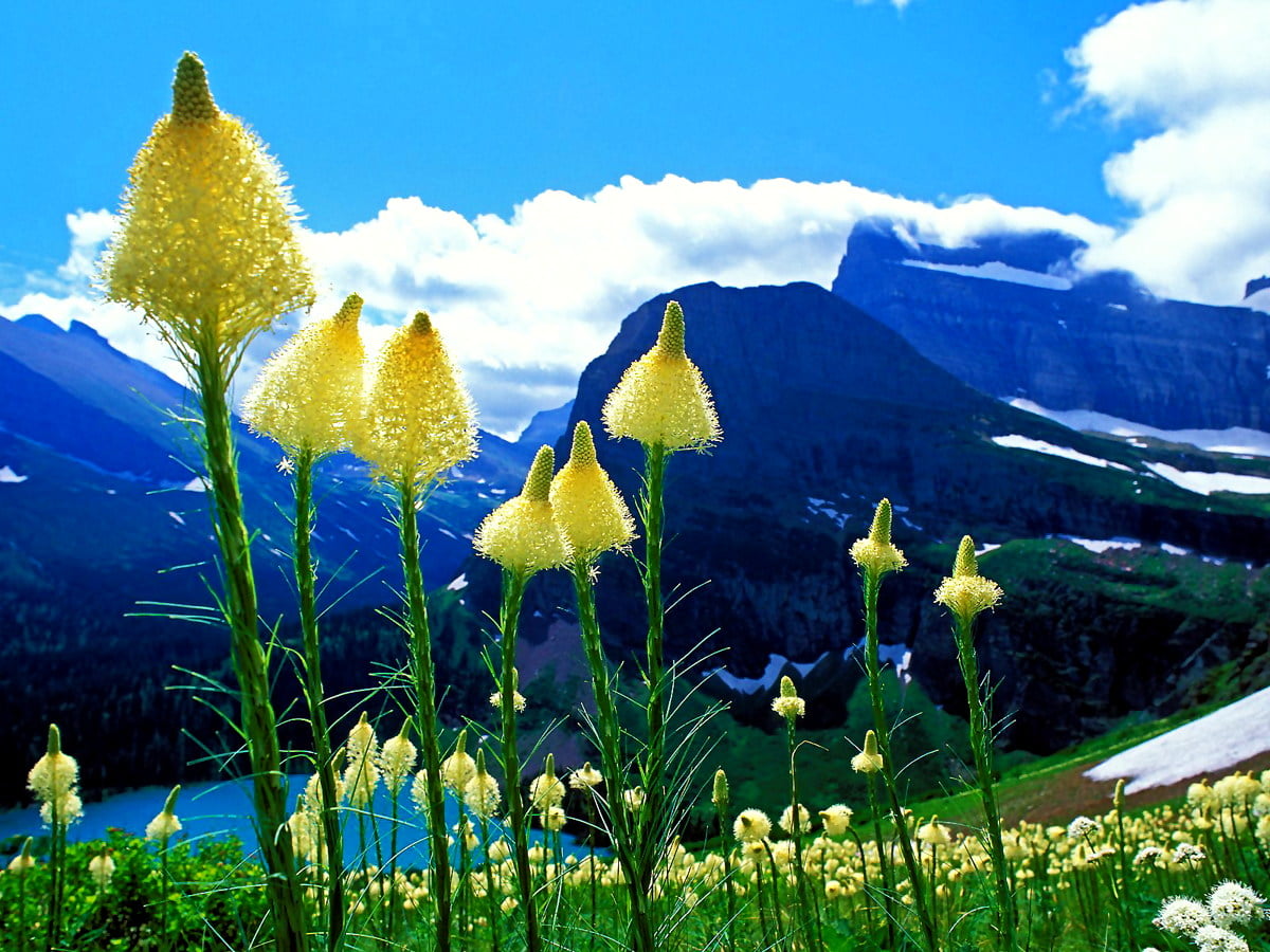 250+ Summer wallpapers HD | Download Free backgrounds
