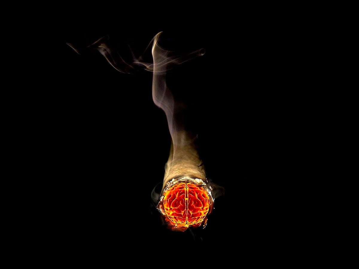 280+ Fire background images | Download Free wallpapers