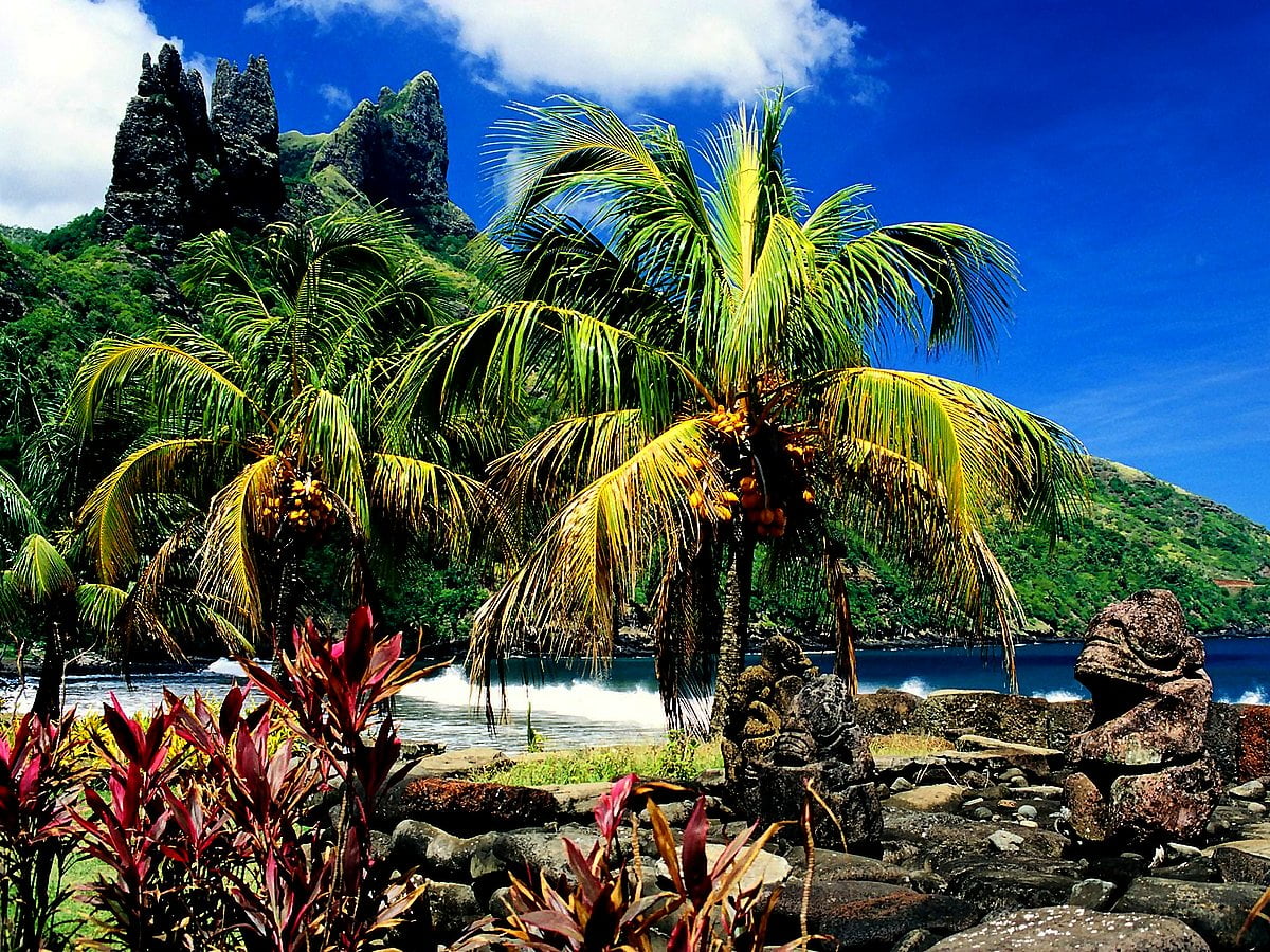 Fransk Polynesien, Natur, Strand baggrundsbillede | Gratis Bedste ...