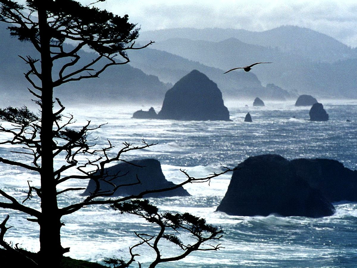 Oregon wallpapers HD | Download Free backgrounds
