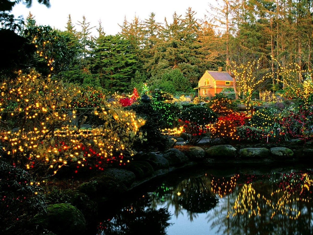 200+ Garden wallpapers HD | Download Free backgrounds