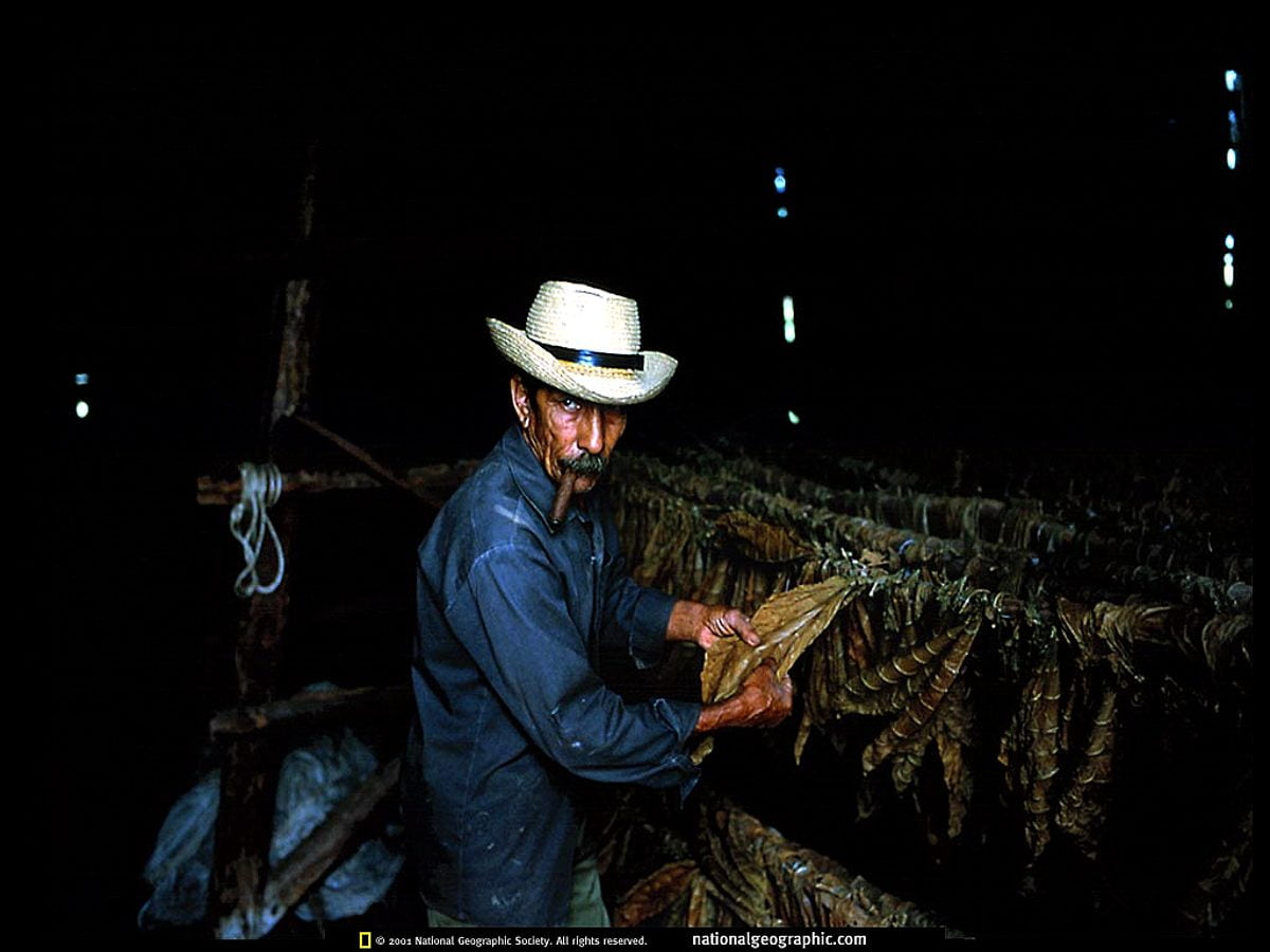 920+ Nat Geo wallpapers phone 🔥 Download Free backgrounds