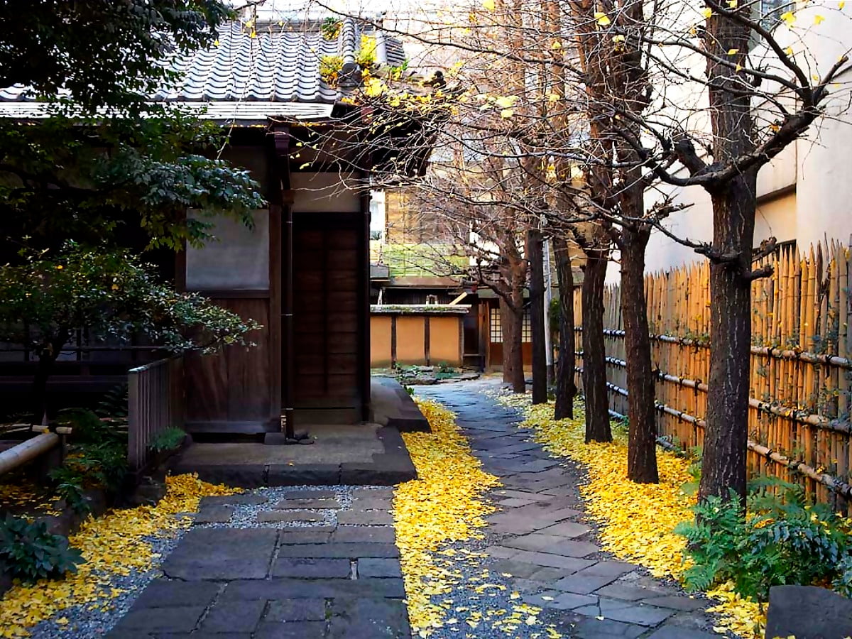 Yard wallpapers HD | Download Free backgrounds