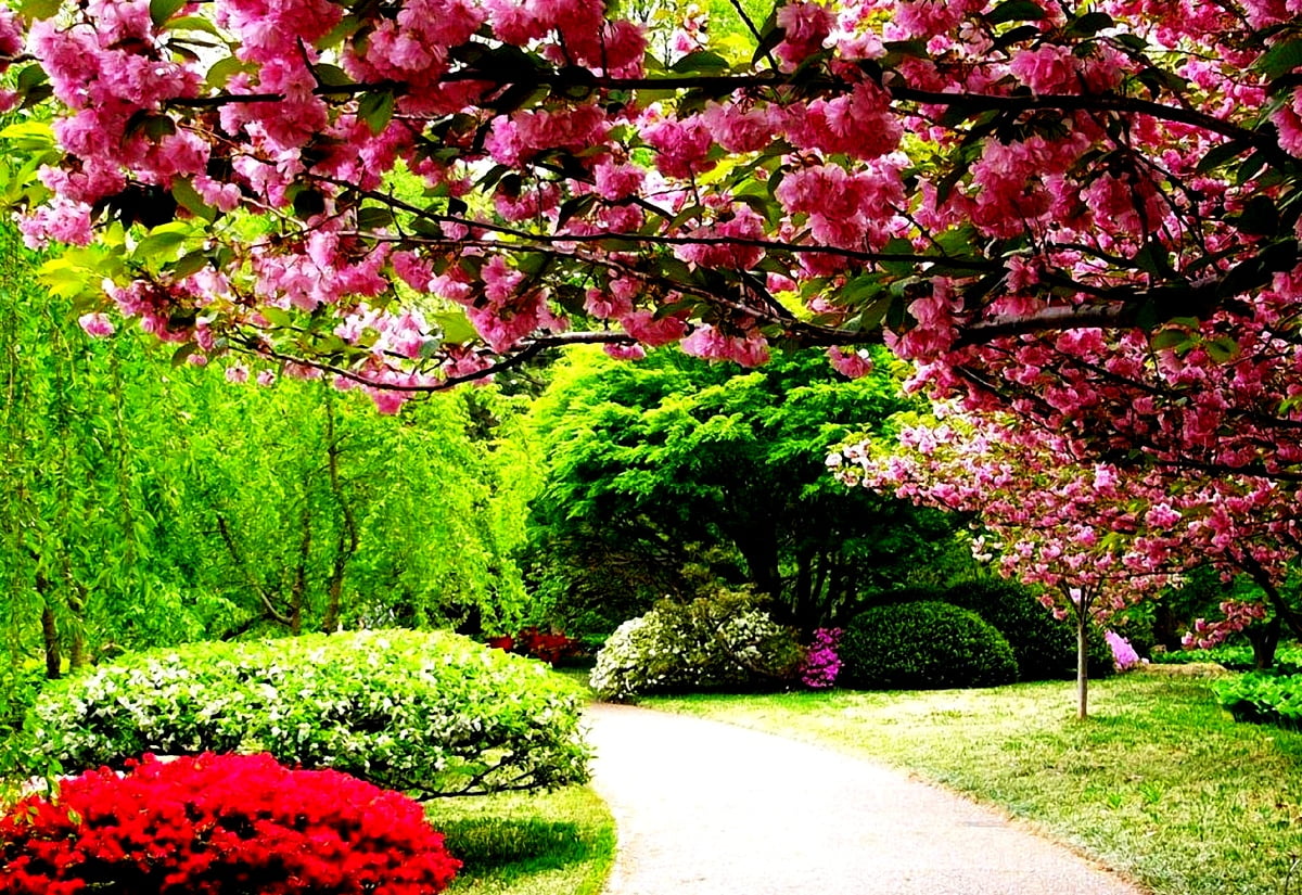 Fondos De Pantalla De Primavera 1280x1024 Hd Fondos De Pantalla De