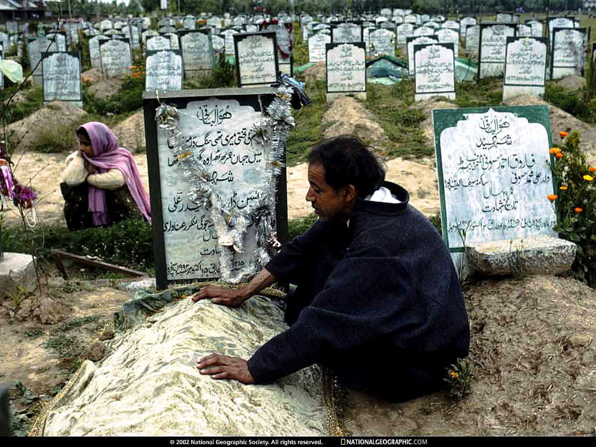 920+ 4K National Geographic wallpapers | Download Free backgrounds