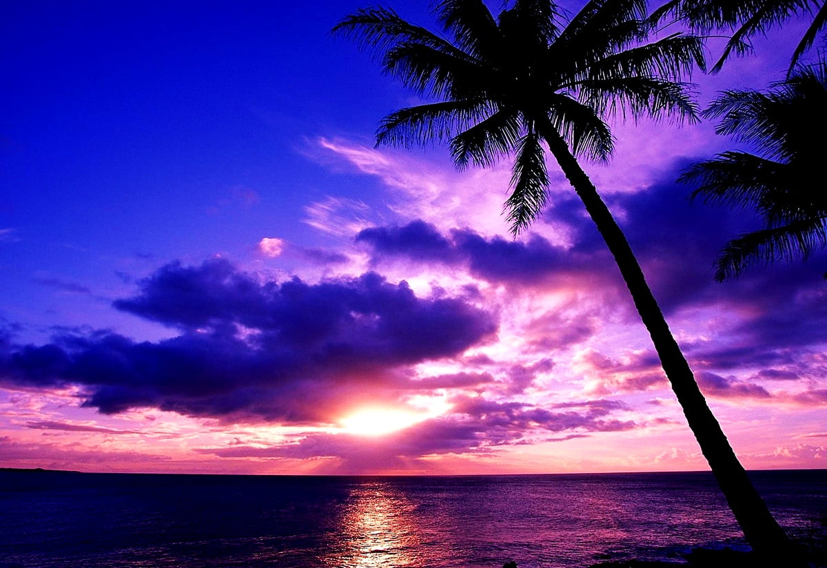 Windows bilde til bakgrunn Himmel, Solnedgang, Soloppgang | Gratis ...
