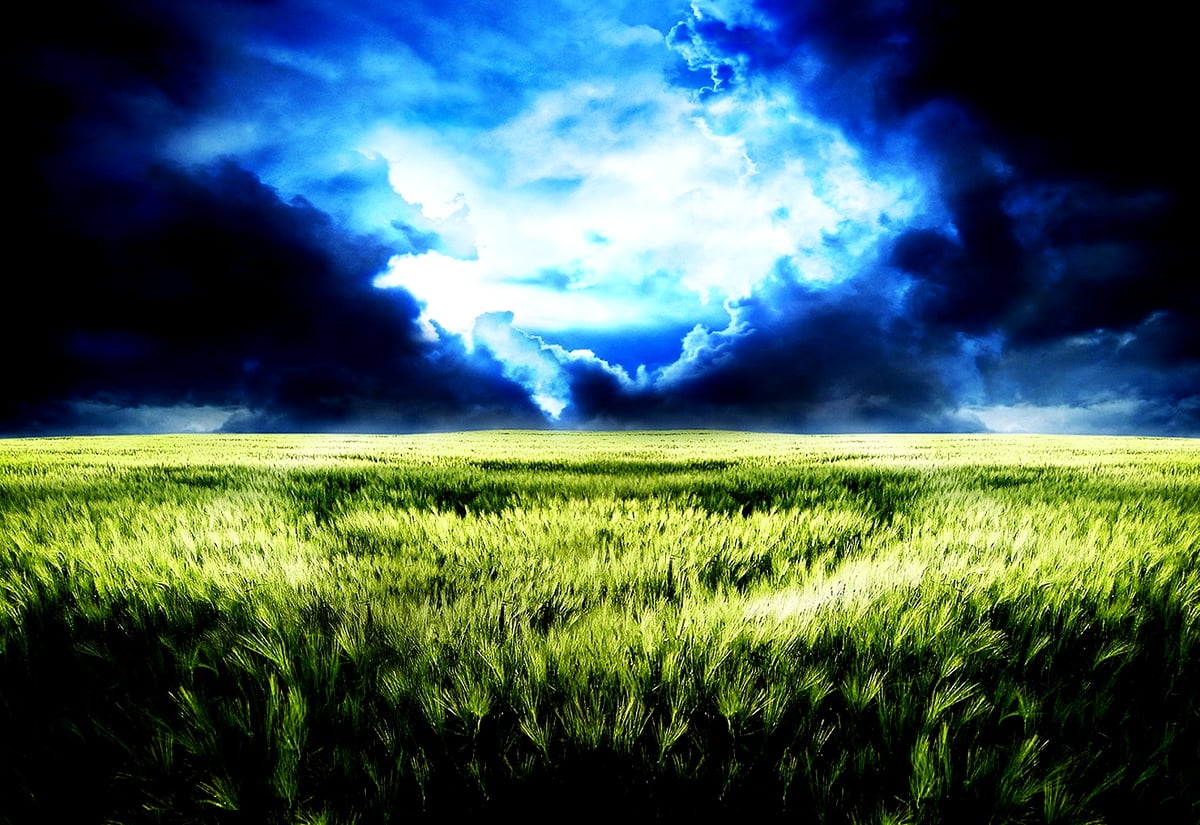 540+ 4K Field wallpapers 🔥 Download Free backgrounds