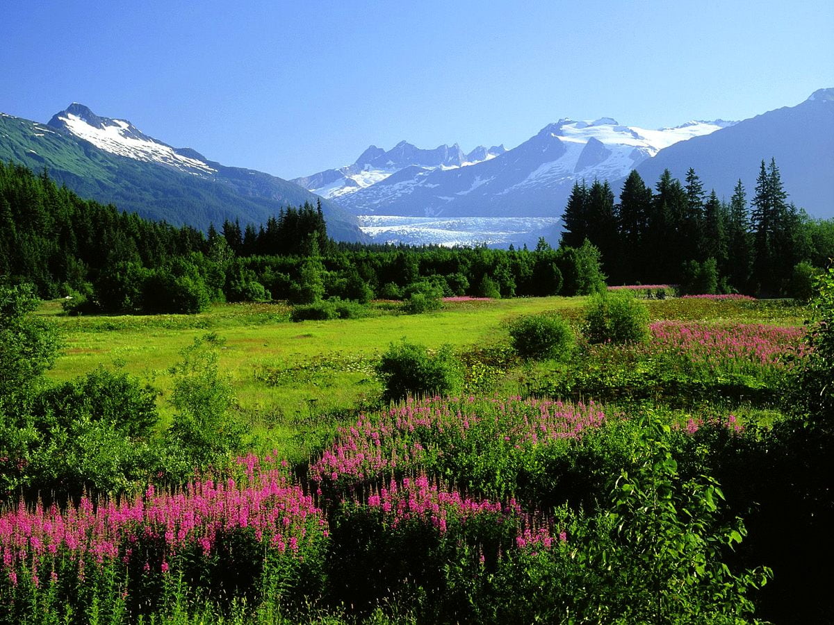 40+ Fondos de pantalla - Alaska HD | Fondos Gratis