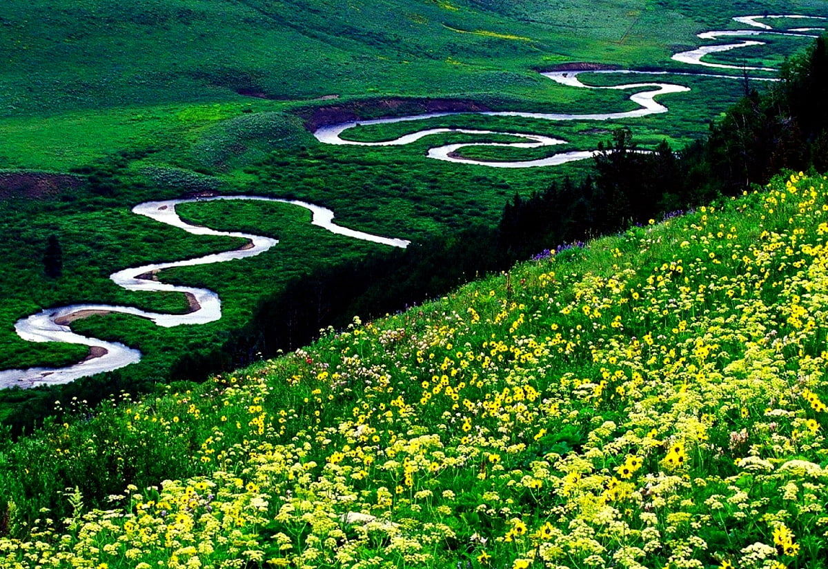 Flot baggrund Flod, Eng, Mark | Gratis Download baggrund