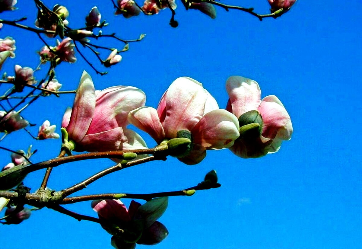 Silmukka taustakuvat HD | Lataa Ilmaiset Taustakuvat