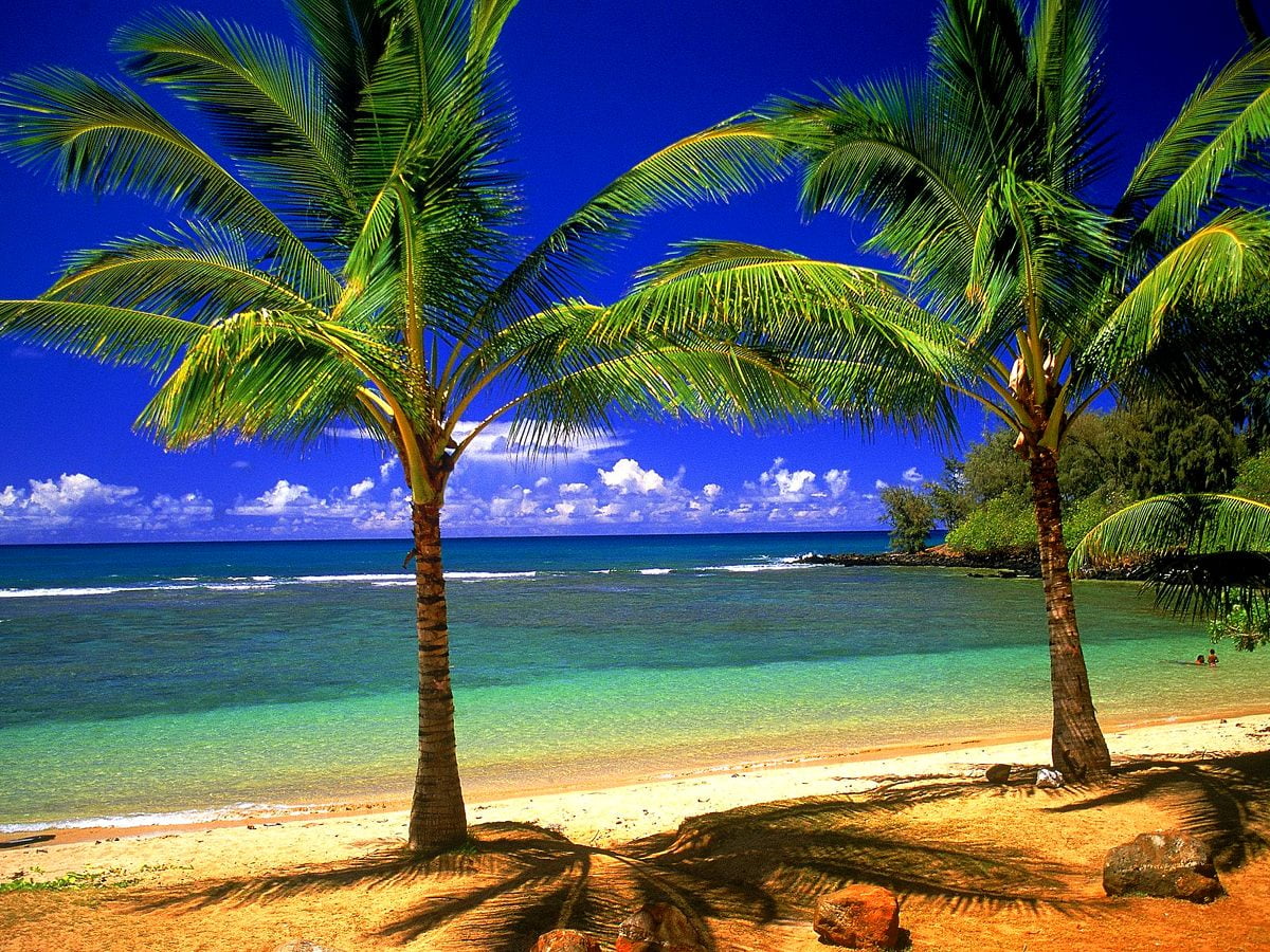Fondo Zona Arqueológica De Tulum, Quintana Roo, Hawái | Descargar Imagen