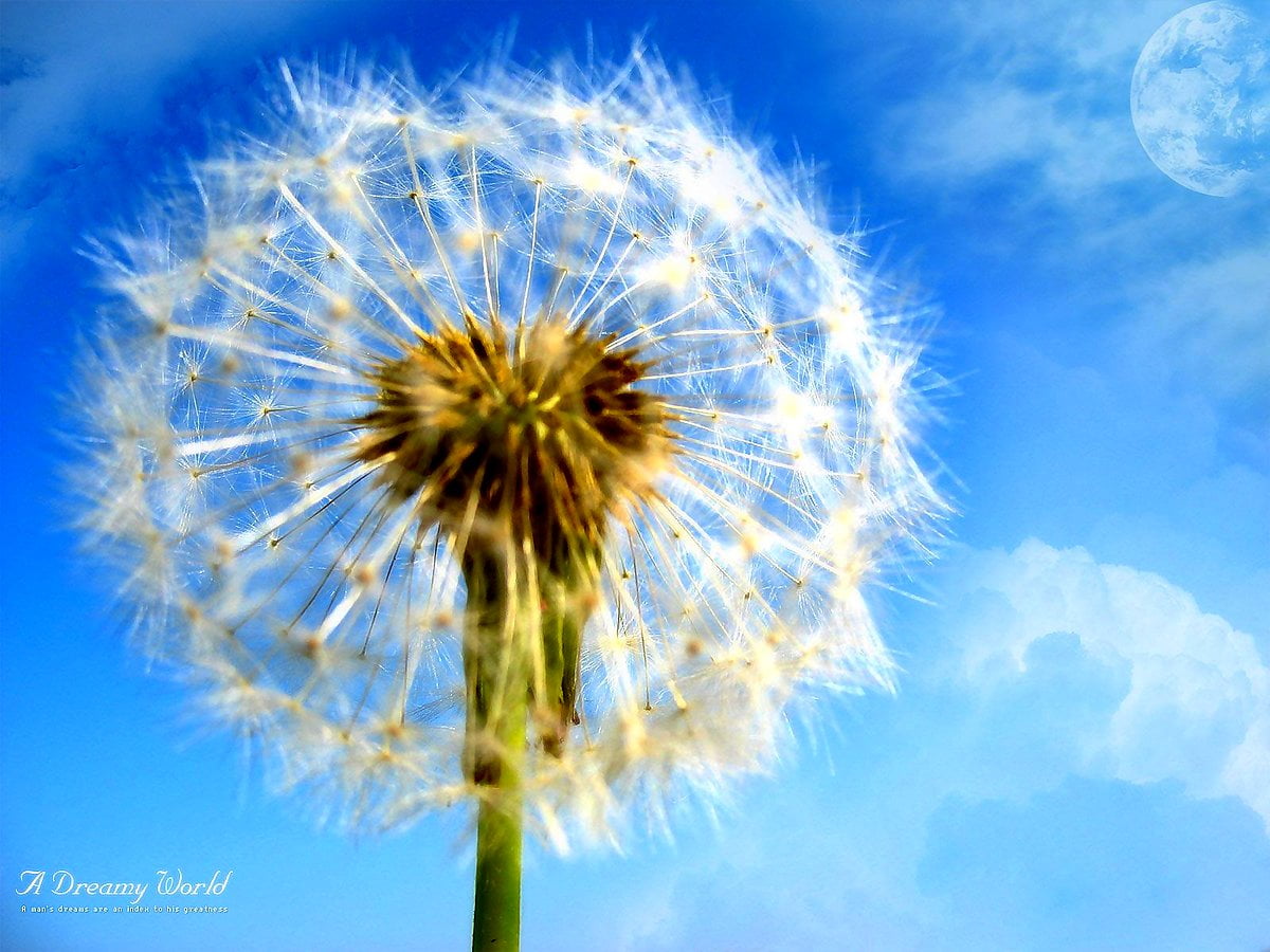 50+ Bright future wallpapers HD | Download Free backgrounds