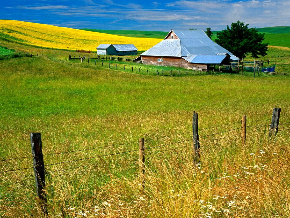 70+ Fondos de pantalla - Granja HD | Fondos Gratis