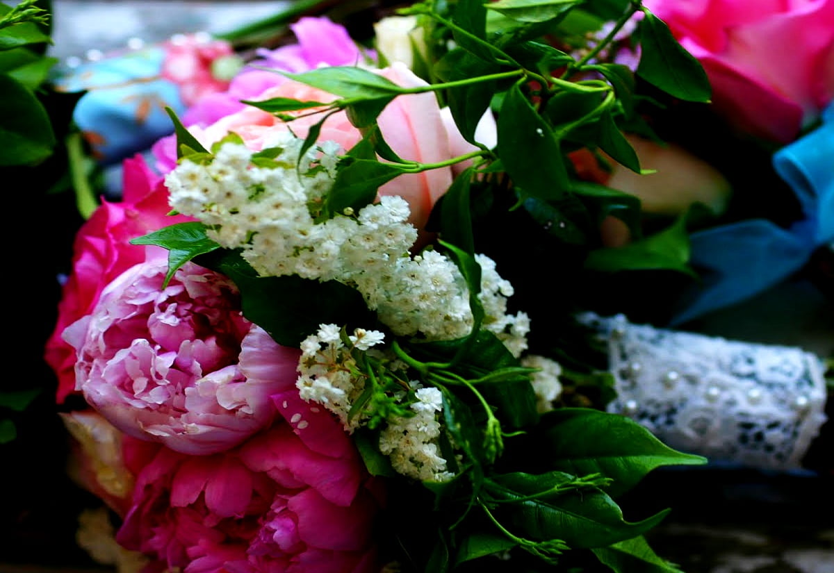 70+ Floristry wallpapers HD | Download Free backgrounds
