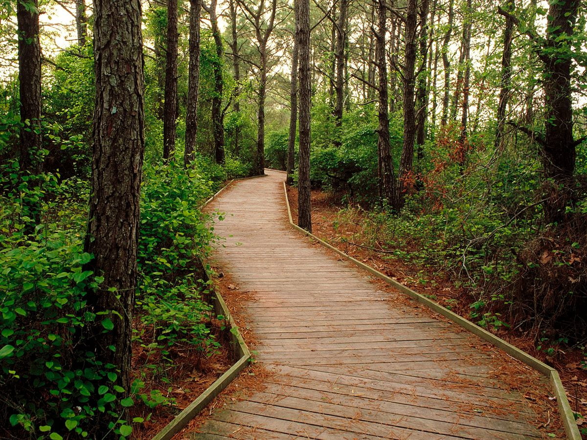 Boardwalk wallpapers HD | Download Free backgrounds