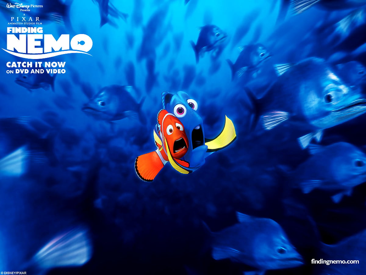 Fondos de pantalla - Buscando a Nemo HD | Fondos Gratis