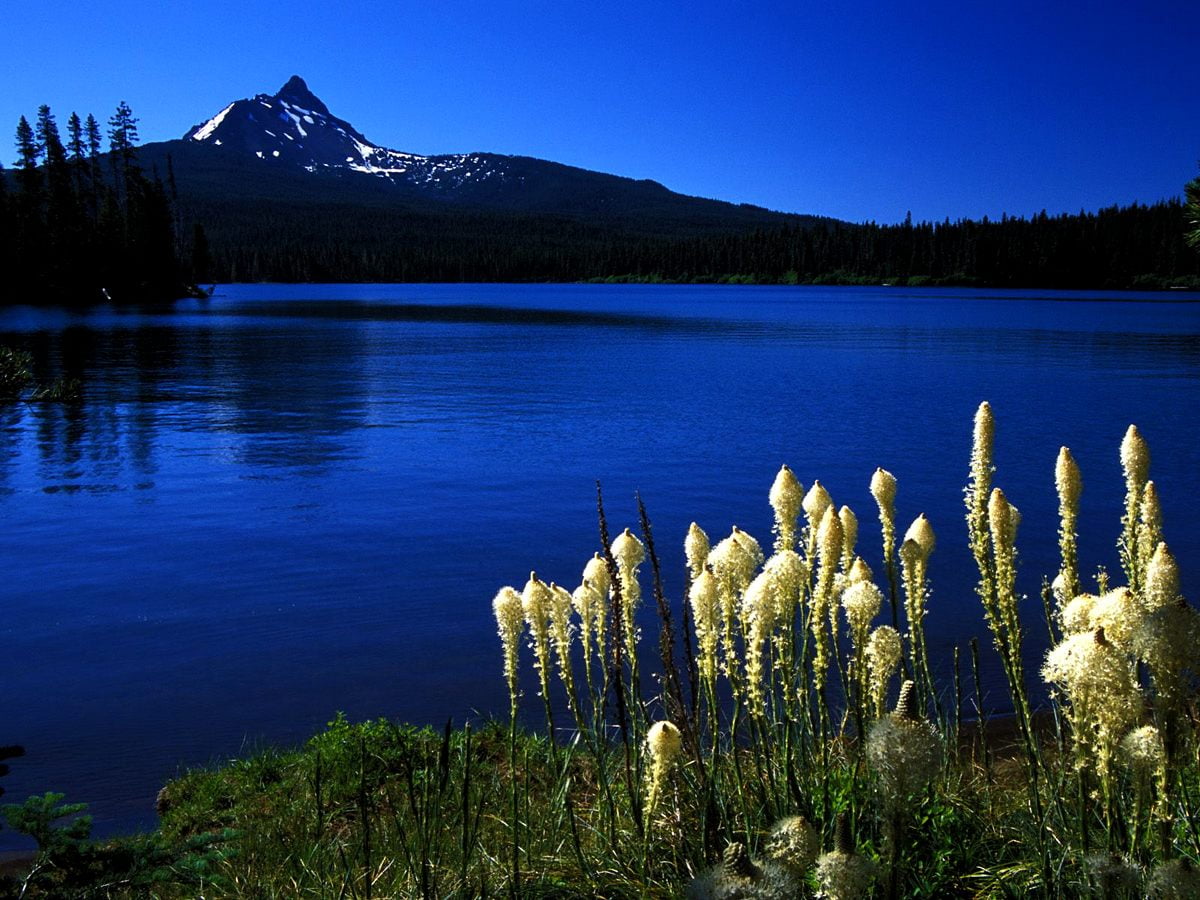 Yellowstone National Park baggrunde HD | Download Gratis Baggrundsbilleder