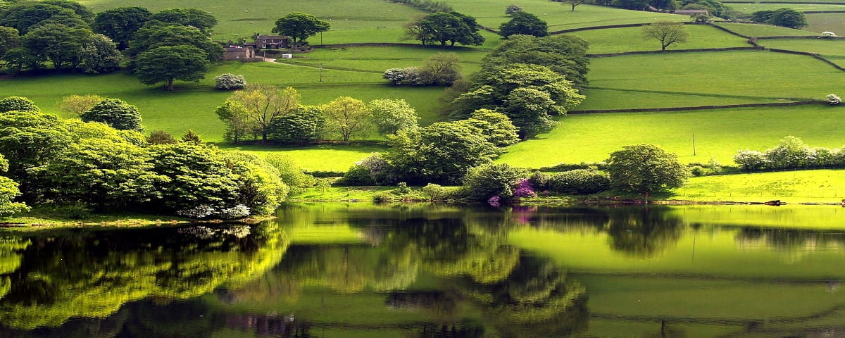 2000+ Natur baggrunde HD | Download Gratis Baggrundsbilleder