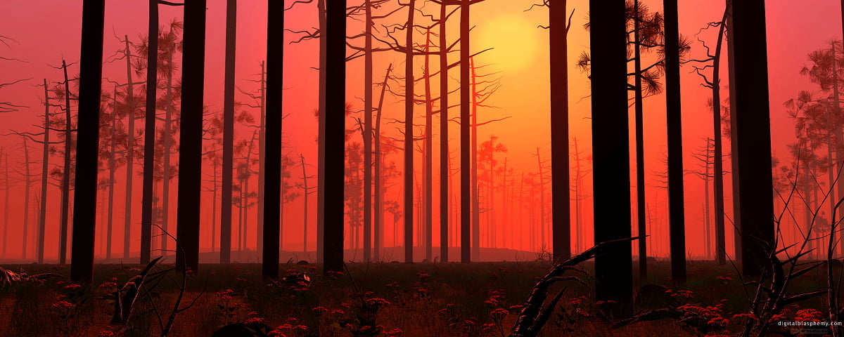 2000+ Natur baggrundsbilleder HD | Download Gratis Baggrunde