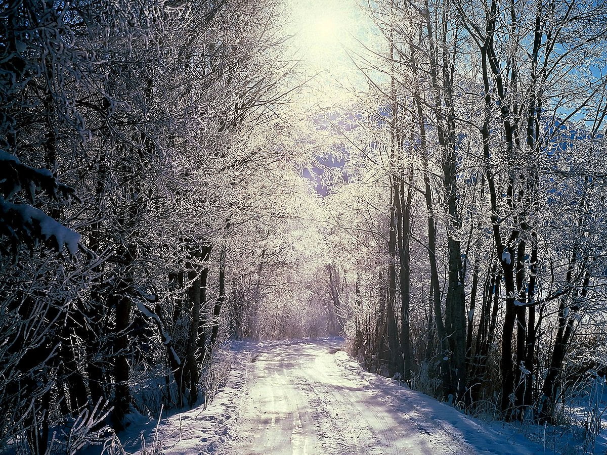 Fed baggrund Vinter, Frost, Sne | Gratis Top baggrund