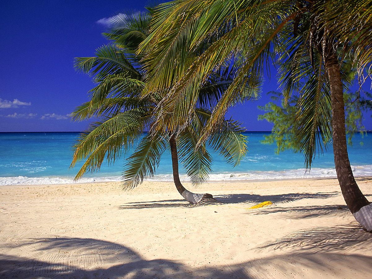 230+ Tropics wallpapers HD | Download Free backgrounds