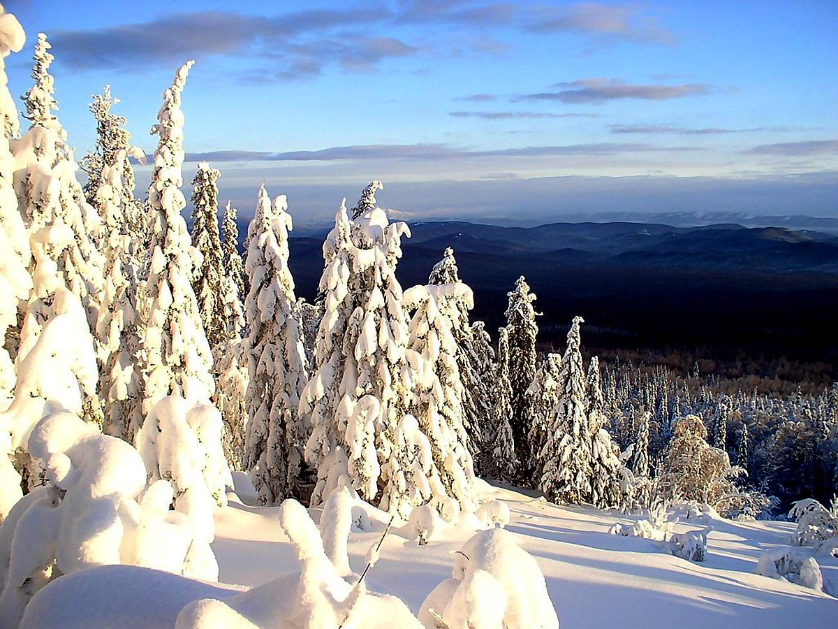 Nice Winter, Snow, Ice background | Download Best Free photos