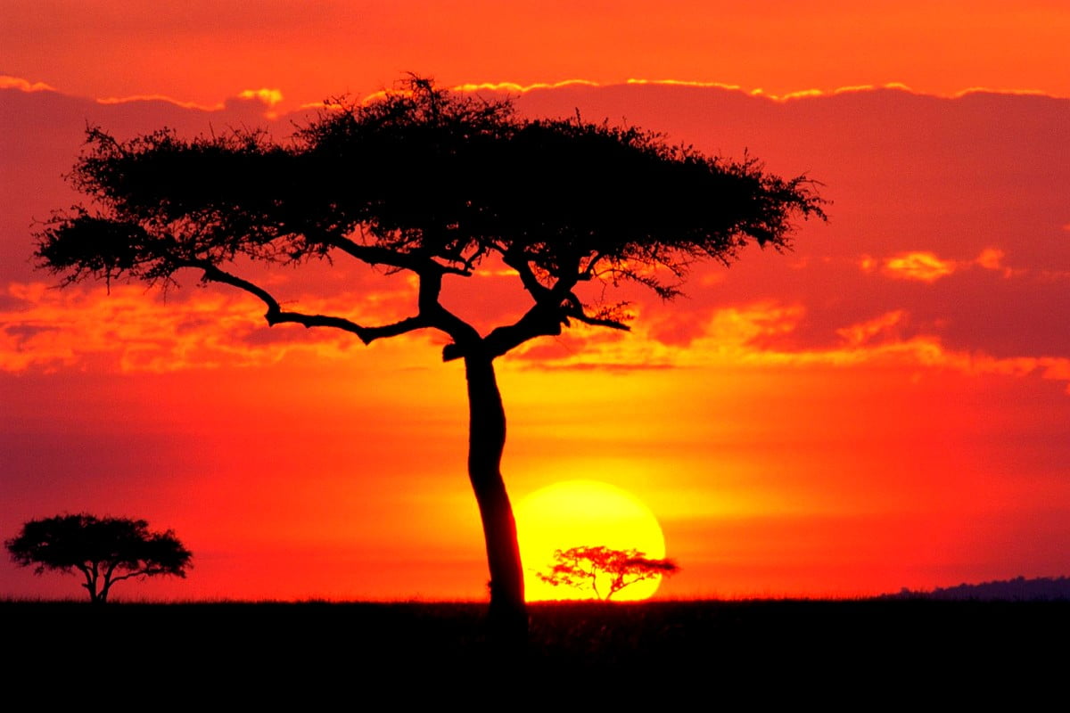 Fondo de escritorio Puesta De Sol, Naturaleza, Sabana | Descargar Imagen