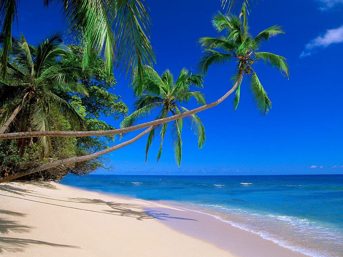 120+ Caribbean wallpapers HD | Download Free backgrounds