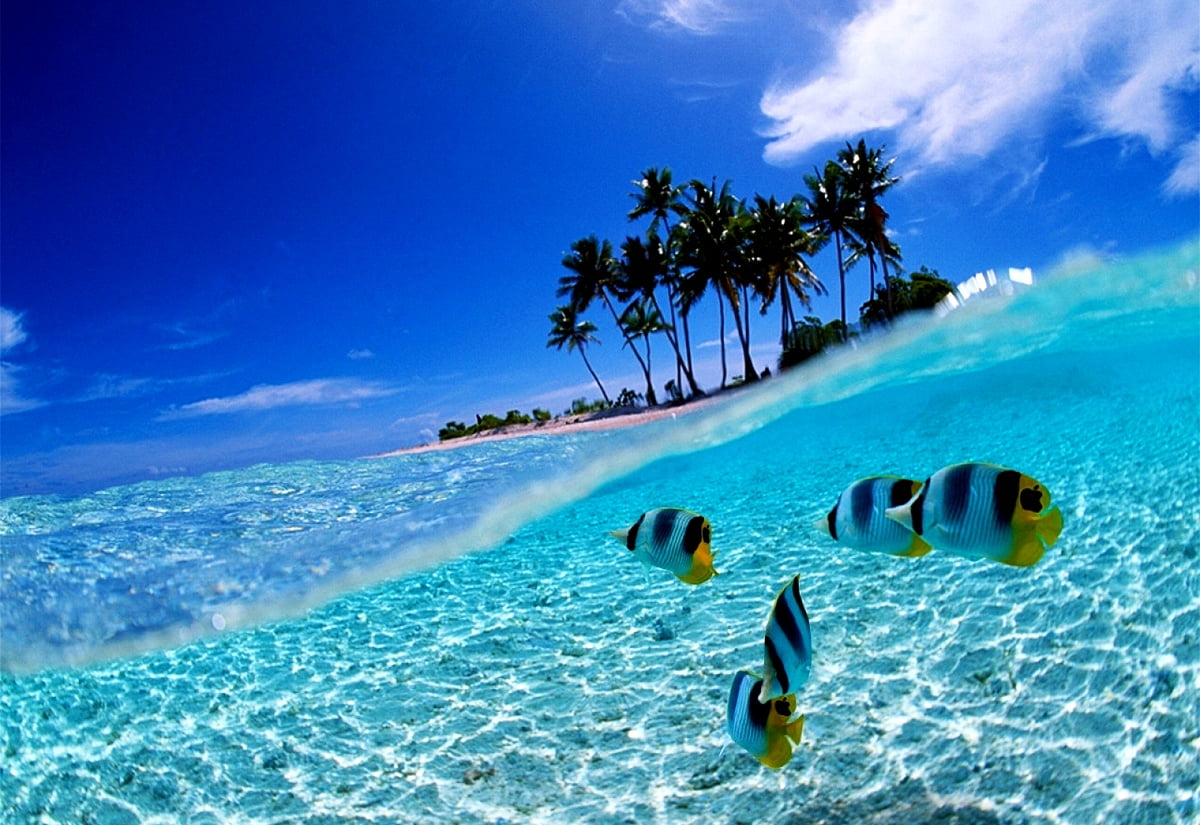 Borobudur, Indonesia, Patsas taustakuva | Ilmaiset Taustakuvat