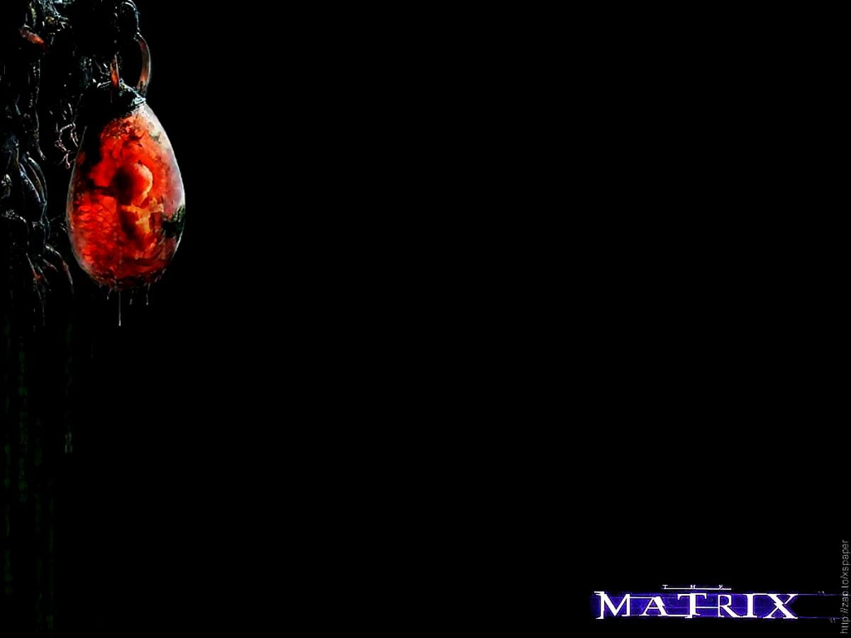 50+ Duvar kağıtları Matrix HD | Ücretsiz Duvar Kağıtları