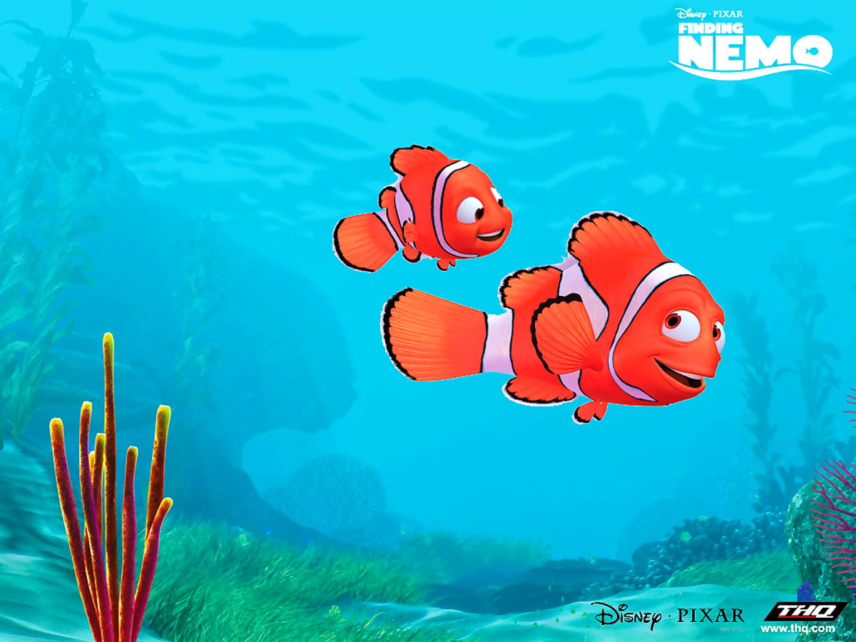 Buscando A Nemo Hd Para Escritorio