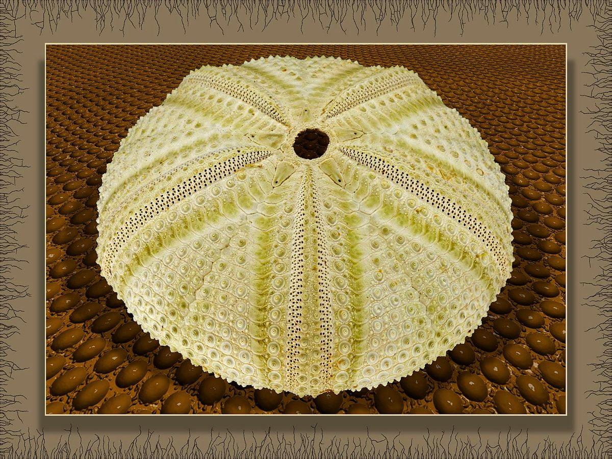 130+ Headgear wallpapers HD 🔥 Download Free backgrounds