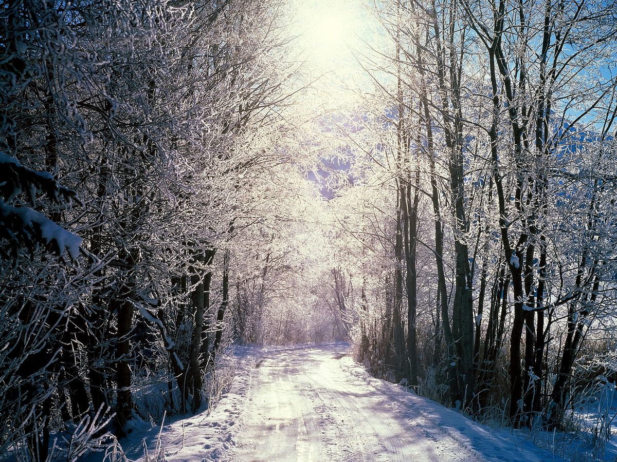 320+ Fondos de pantalla - Invierno HD | Fondos Gratis