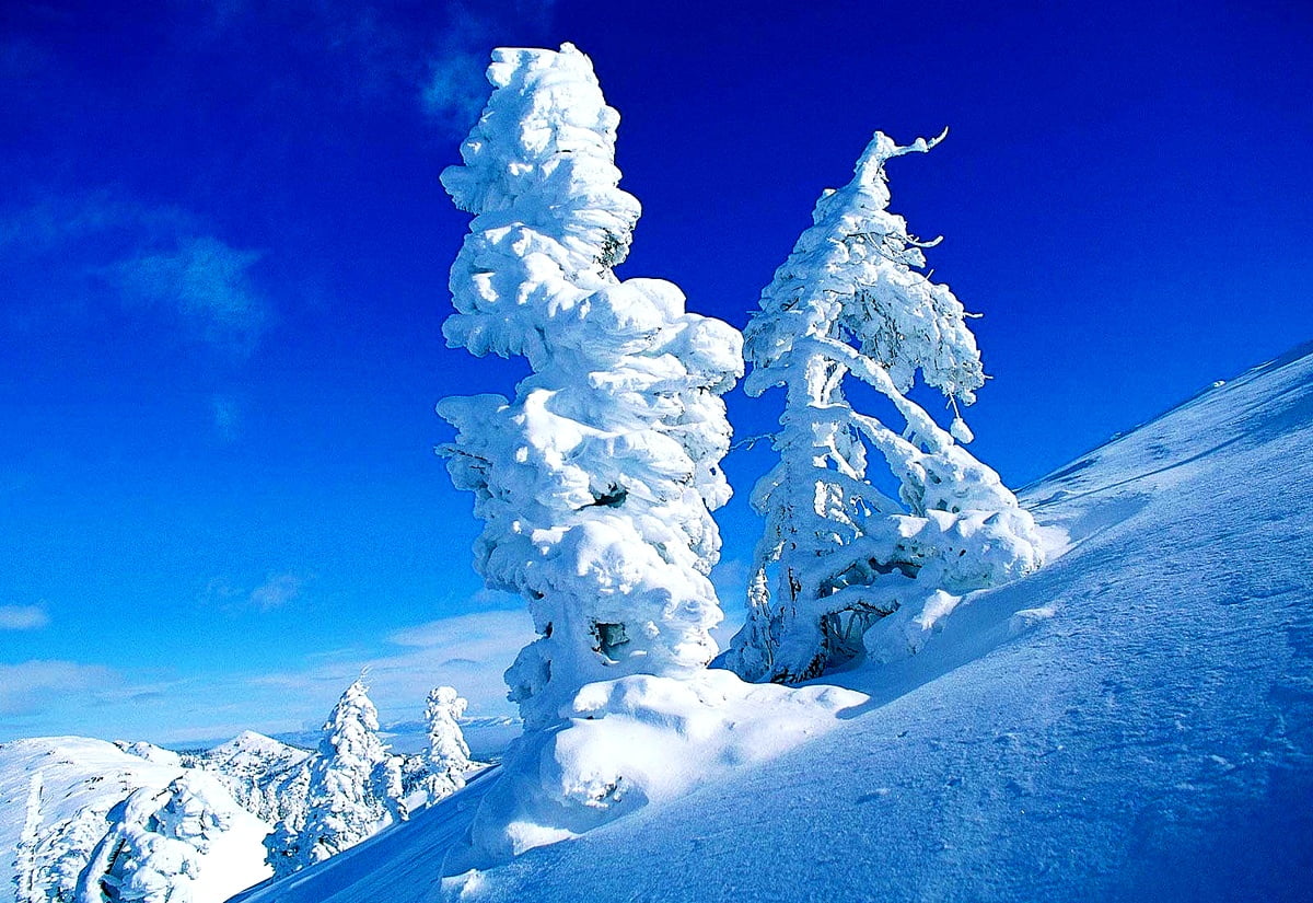 Baggrundsbillede Vinter, Sne, Natur | Download baggrundsbillede