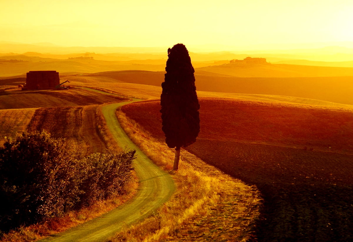 490+ Sol baggrundsbilleder HD | Download Gratis Baggrunde