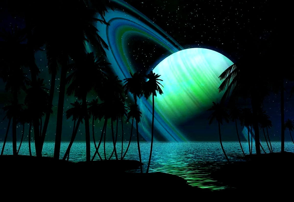 Planet, Nature, Palm Tree wallpaper | FREE Download backgrounds