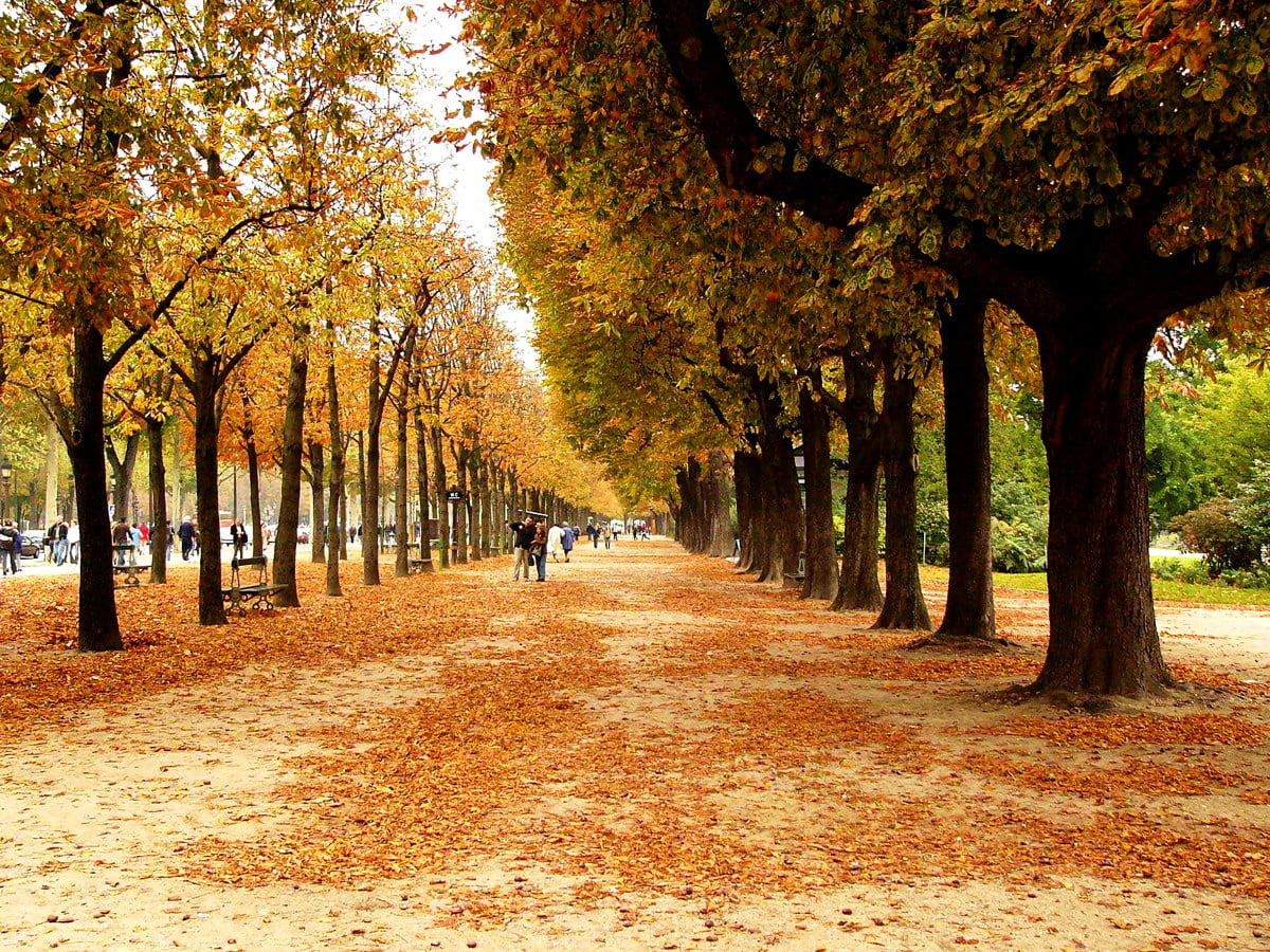 120+ Park wallpapers phone | Download Free backgrounds