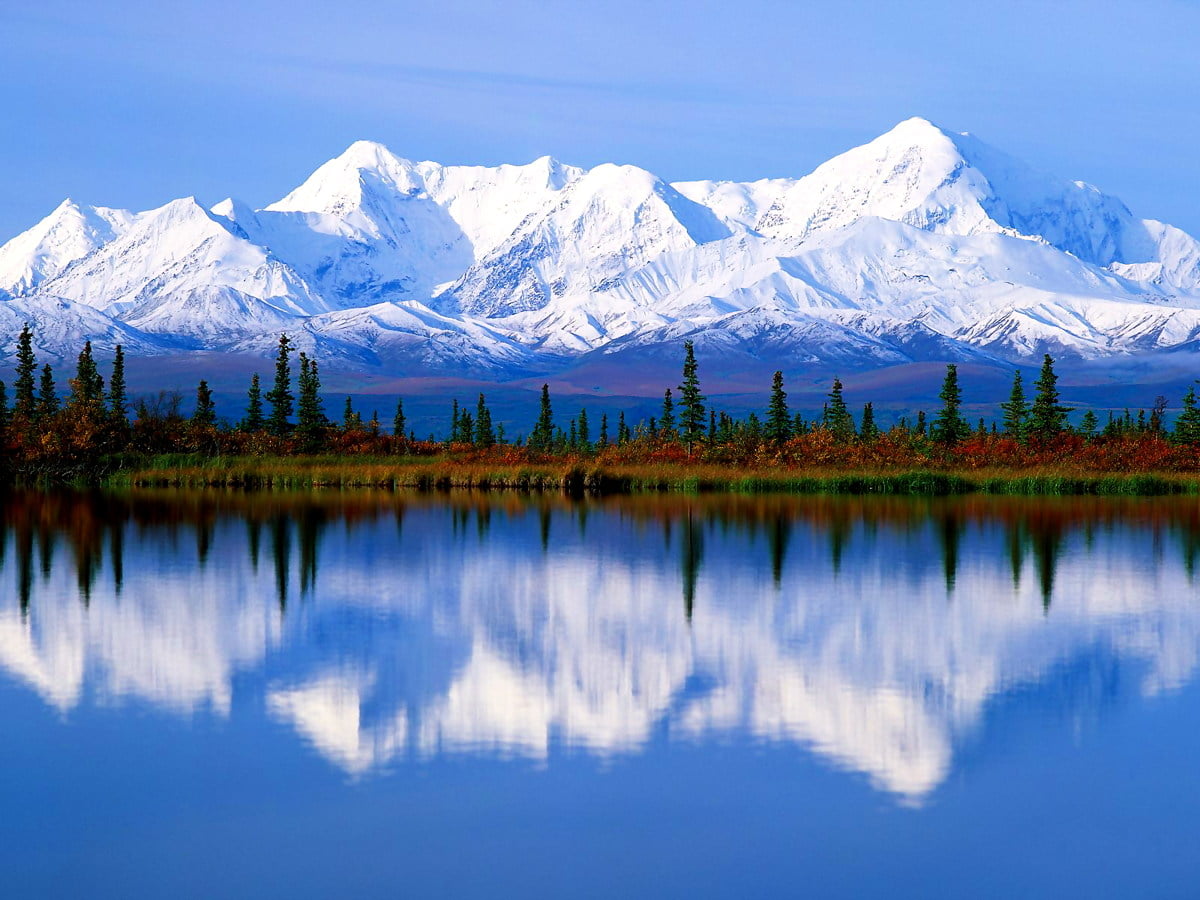 Denali National Park baggrunde HD | Download Gratis Baggrundsbilleder